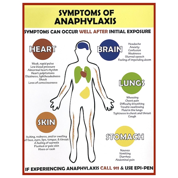 Aek Allergy Emergency Anaphylaxis Symptoms Poster EN9363 | Zoro