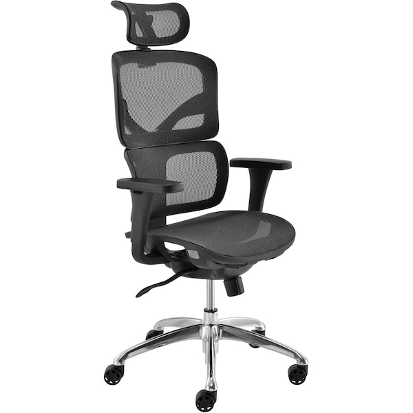 Global Industrial All Mesh Ergonomic Chair with Adjustable Arms, Black ...