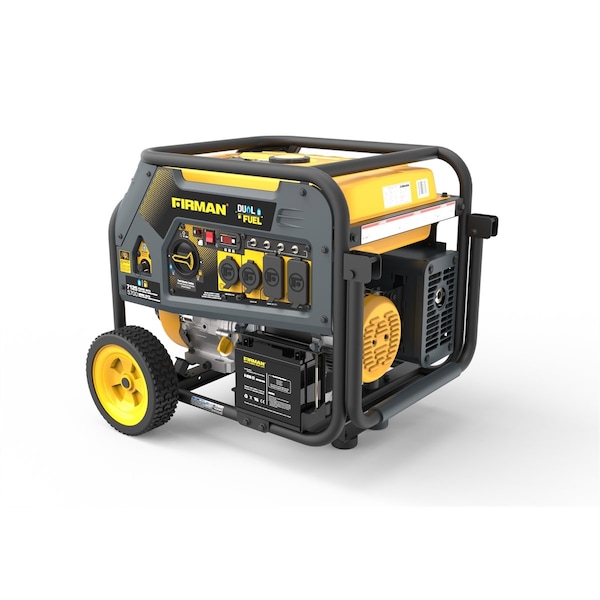 Firman Dual Fuel 7125/5700W Electric Start Gas or Propane Powered ...