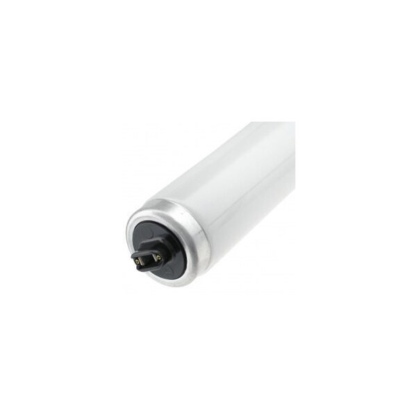 Ilc Replacement For LIGHT BULB LAMP, F42T12DSGN50HO F42T12/DSGN50/HO | Zoro