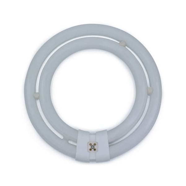 Viva Light Bulbs Cri 82 | Shelly Lighting