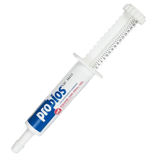 Vets Plus Probios Equine One Oral Gel 30 Grams 10590 | Zoro
