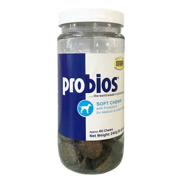 Vets Plus Probios Soft Chews for Medium/Large Dogs 2622-L | Zoro