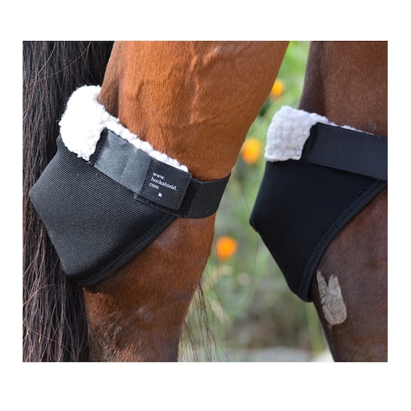 Click Horse Products Click Hock Shields REGULAR 4274-R | Zoro