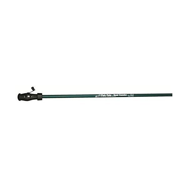B&M Fish Pole Combo 10Ft2Pc, Fiberglass Telescopic Pole, LineThru Blank ...