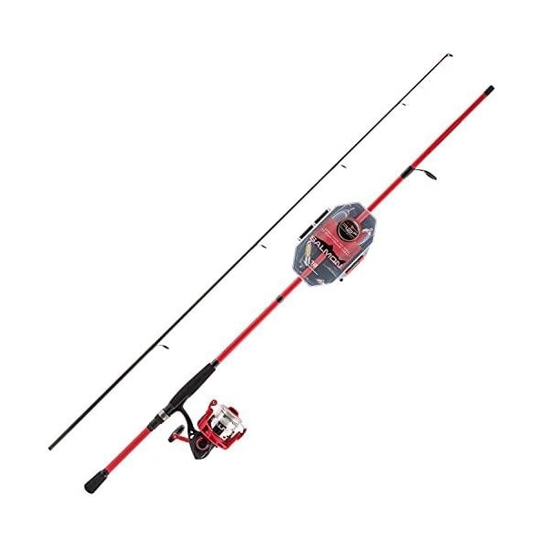 Ready 2 Fish R2F4 7'6 Medium Heavy Salmon Spinning Combo WKit R2F4-SA/S ...
