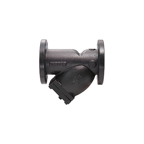 Legend Valve 2-1/2" T-19 FLANGED Y-STRAINER 105-612 | Zoro