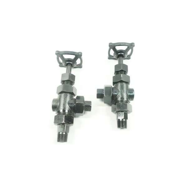 Jerguson Set Of Ballcheck 1/2In X 3/4In Steel Npt Other Valve 64 | Zoro