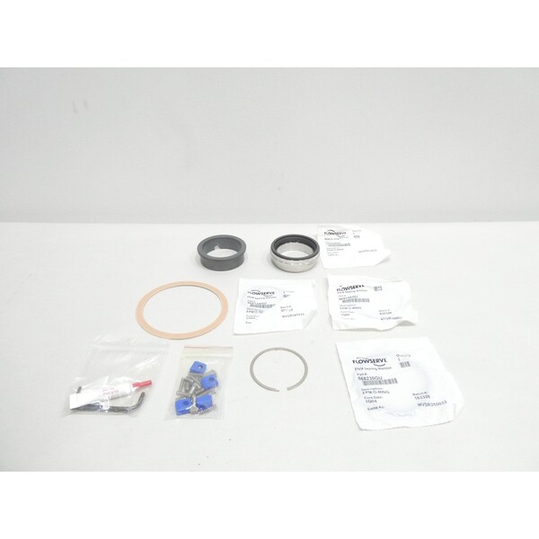 Flowserve P-50 REPAIR KIT PUMP PARTS AND ACCESSORY RK149699 | Zoro
