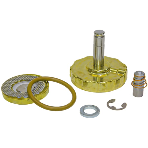 Alliance KIT REPAIR VALVE STEAM PARKER F380985P | Zoro