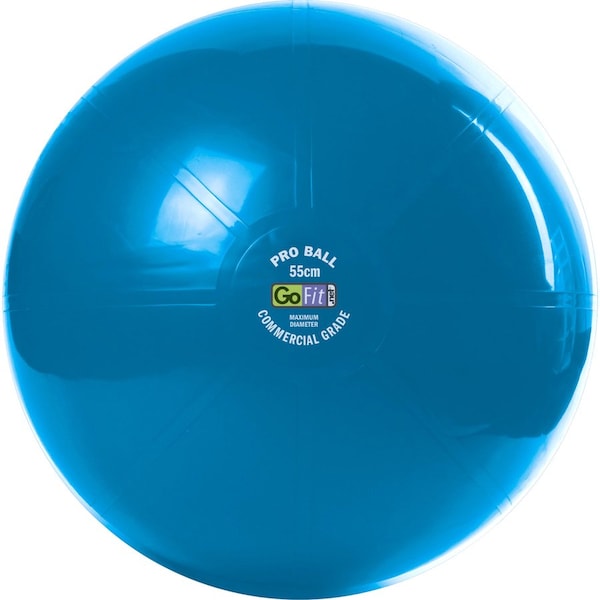 Gofit Professional Grade Core Stability Ball (55 cm; Blue) GF-55PRO | Zoro