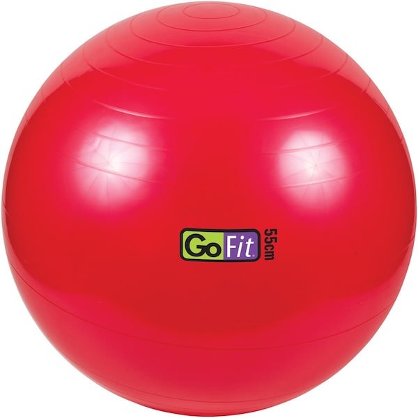 Gofit Exercise Ball with Pump (55cm; Red) GF-55BALL | Zoro