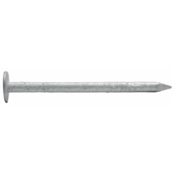 Maze Nails Common Nail, 1-1/2 in L, 4D, Aluminum, 0.148 ga AV4125 | Zoro