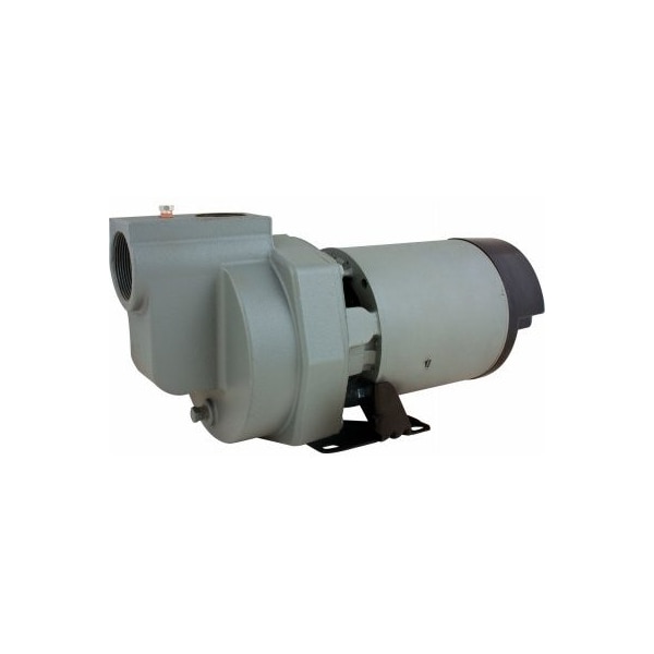 Flint & Walling/Star Water 2Hp Lwn Sprinkler Pump HSP20P1 | Zoro