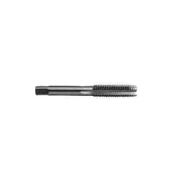 Century Drill & Tool Tap 8.0X1.25 M CD 97313 | Zoro