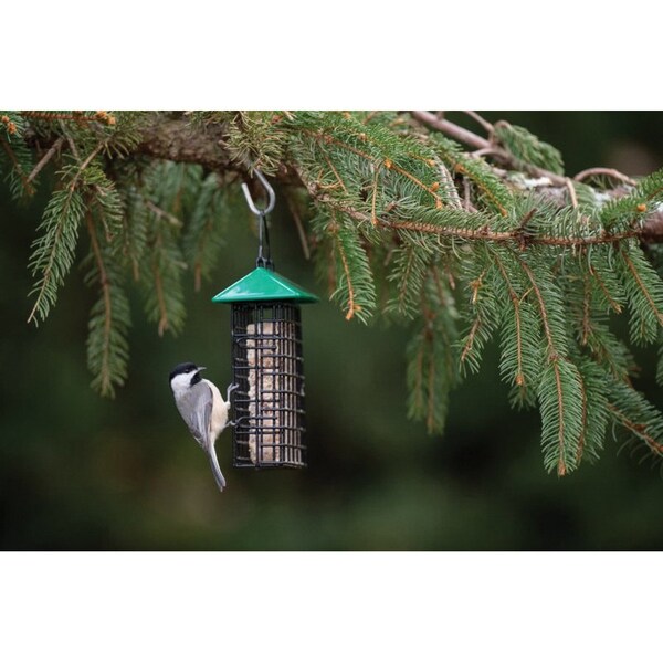 More Birds Suet Feeder W/Weather Guard 50185 | Zoro