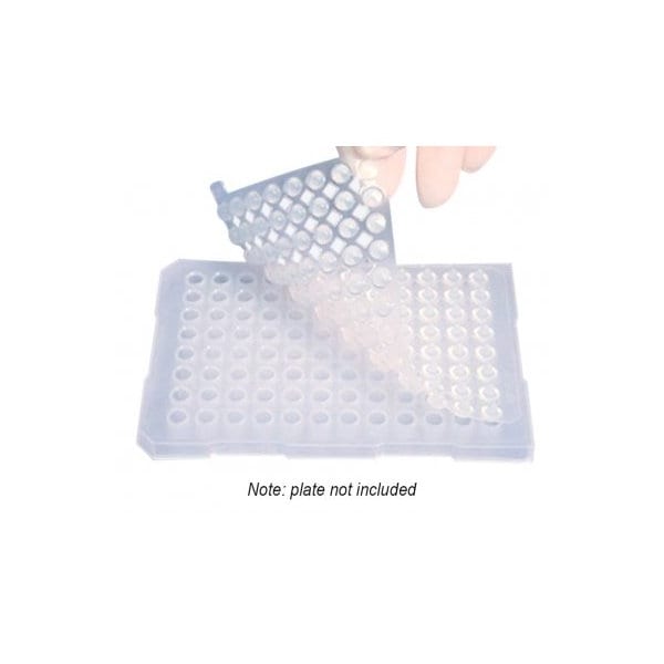 Scientific Specialties PCR Plate Sealing Mat, 96 well 5/PK 141350 | Zoro