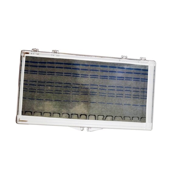 Gary Plastic Mini Blotting Container, Clear, 6 3/4x3 1/2x1, 4/PK 249602 ...