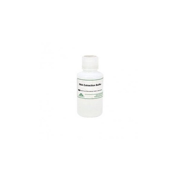 Rna Extraction Zymo at Douglas Squires blog
