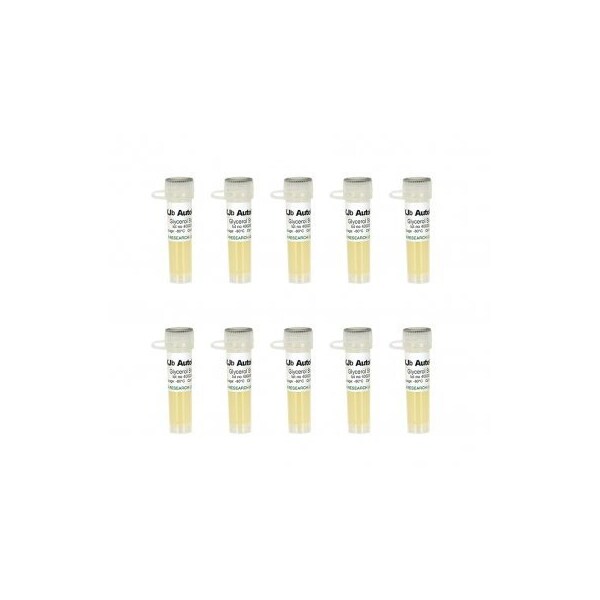 Zymo Research XJb(DE3) Autolysis, 10x100uml Mix & Go competent cells ...