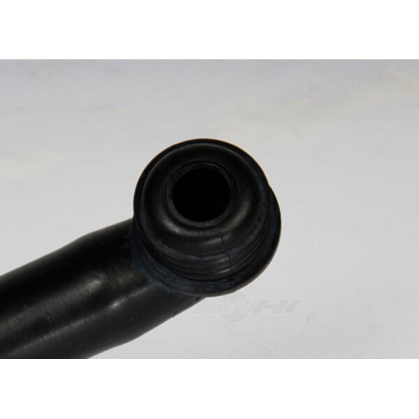 Acdelco Vacuum Harness, 24503949 24503949 | Zoro