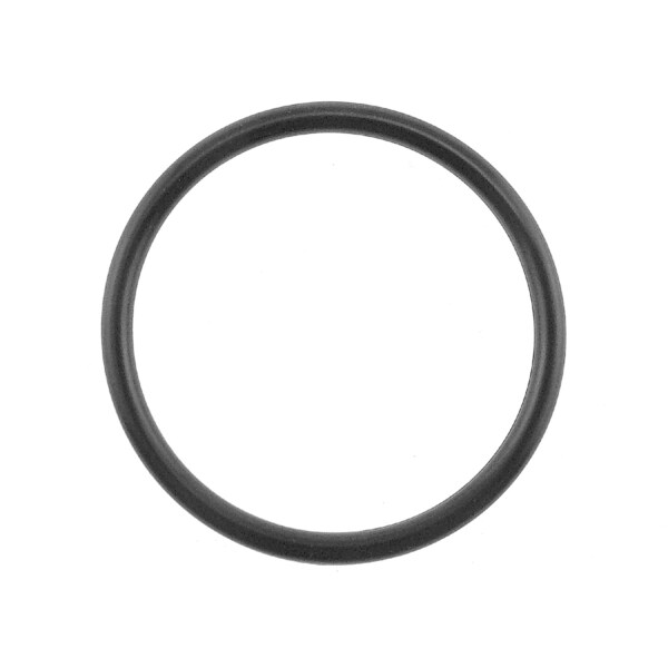 Acdelco Engine Oil Cooler Line O-Ring - Inlet, 251-2031 251-2031 | Zoro