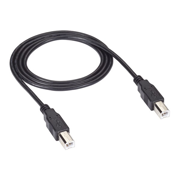 Black Box Usb 2.0 Type B Male To Type B Male - 10Ft USB08-0010 | Zoro