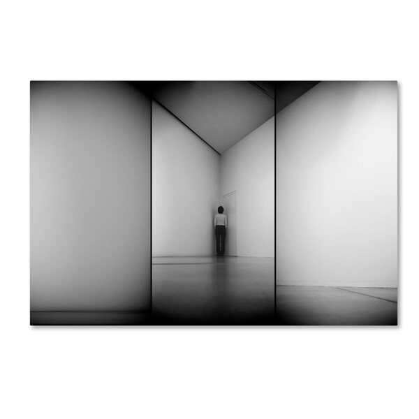 Trademark Fine Art Jure Kravanja 'Evolution' Canvas Art, 30x47 1X03626 ...