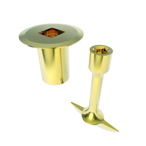 Brasstech Log Lighter Key & Flange in Forever Brass (Pvd) 510/01 | Zoro