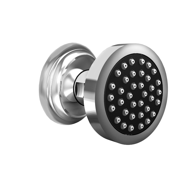 Newport Brass Body Spray in Polished Brass Uncoated (Living) 2178/03N ...