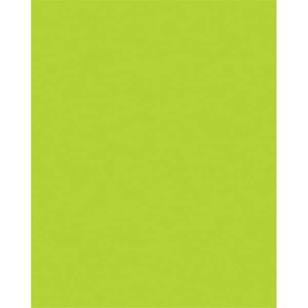 Dixon Ticonderoga Neon Coated Poster Board Lime 25 Sheets PAC54111 | Zoro