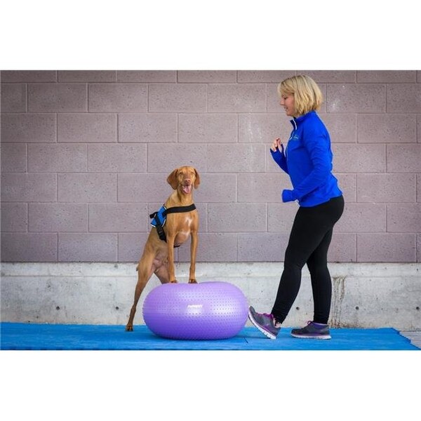 Fitpaws FitPaws PFPKTDPR55 Trax Donut Kit; Purple - 55 cm PFPKTDPR55 | Zoro