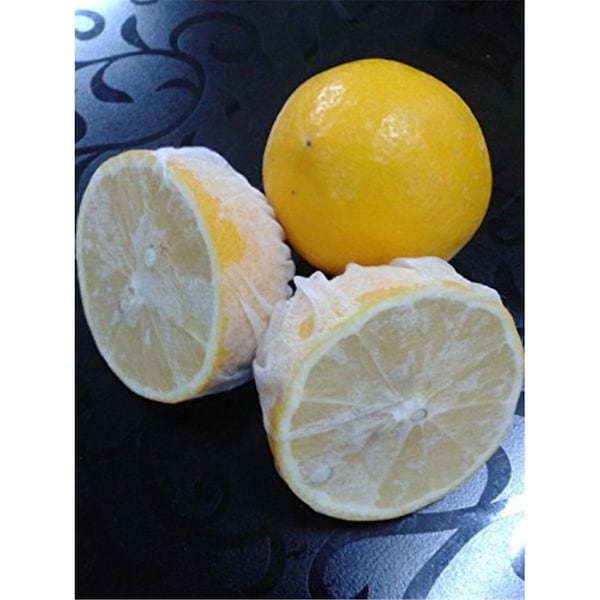 Beliz Import Lemon Stretch Wrap 100PK LEMWRAP100 | Zoro