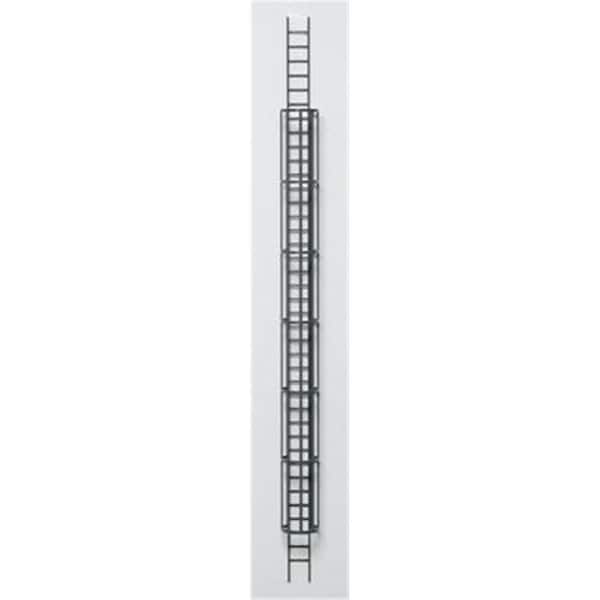 Plastruct 1-32 CL-12 Ladder with Cylinder Cage PLS90433 | Zoro