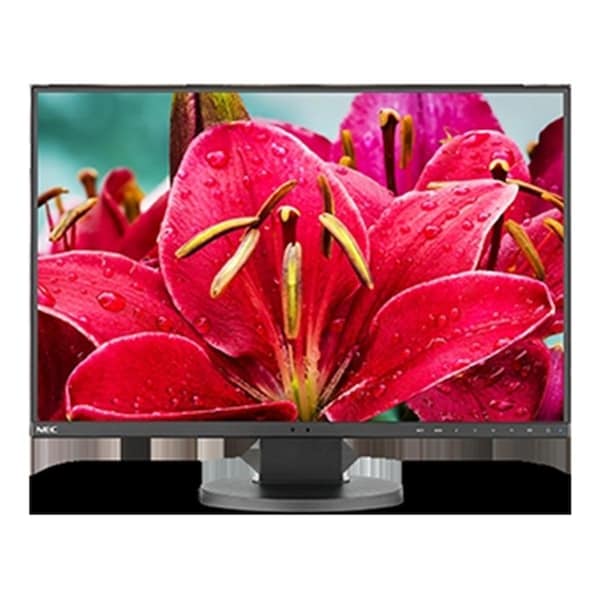 Nec Displays 24 in. Widescreen IPS LCD Monitor with Spectra View ...
