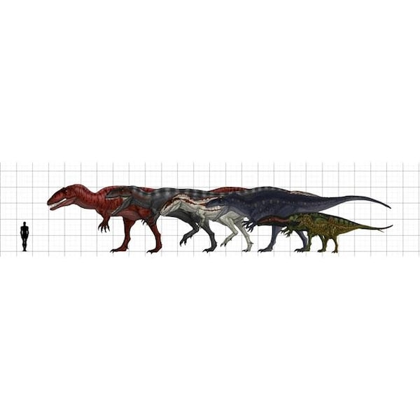Stocktrek Images StockTrek Images PSTVVA600002P Carcharodontosauridae ...