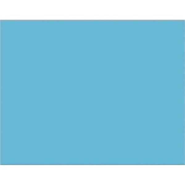 Easy-To-Organize 22 in. x 28 in. Poster Board Light Blue - Case of 25 ...