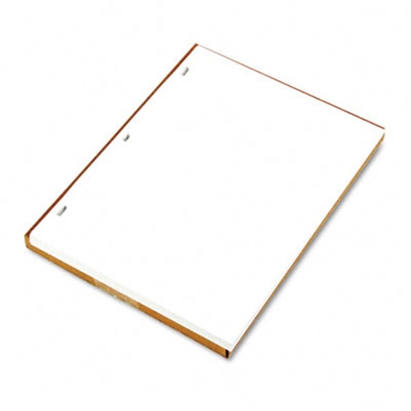 Tosafos Extra White Ledger Sheets for Corporation & Minute Book 11 x 8 ...