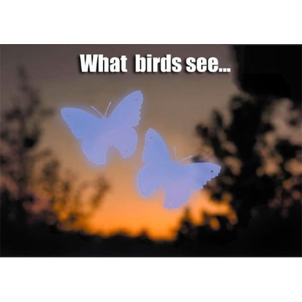 Window Alert WINDA3 Bird Safety Window Decals - Butterfly WINDA3 | Zoro