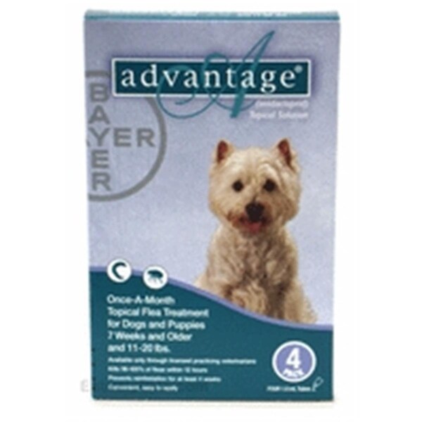 Bayer Advantage 4 Pack Dog 1122 Lbs Teal 4PK ADVANTAGE4TPKL | Zoro