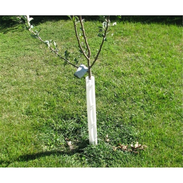 Premier Powder Coating Grow It Now World s Best Tree Protector, PK4 ...