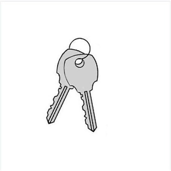 Salsbury Industries Salsbury Industries 77799 Key Blanks for Built-in ...