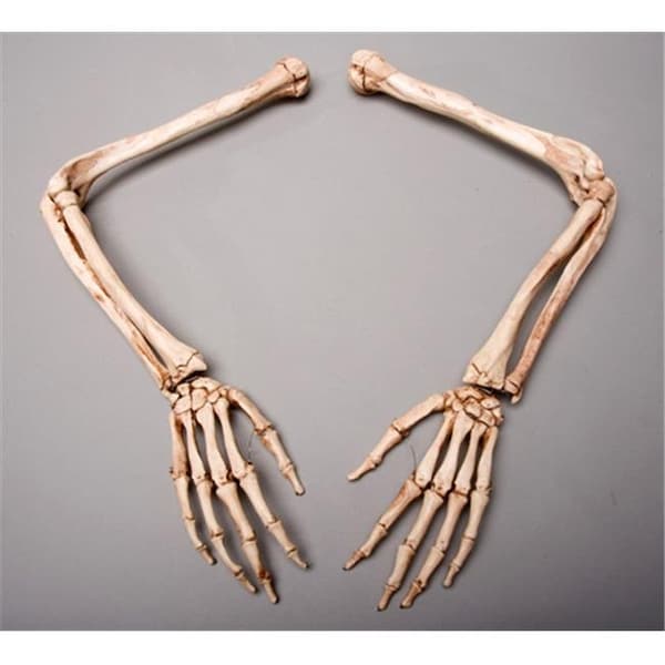 Skeletons And More SM370DA Aged Skeleton Arms Left and Right SM370DA | Zoro
