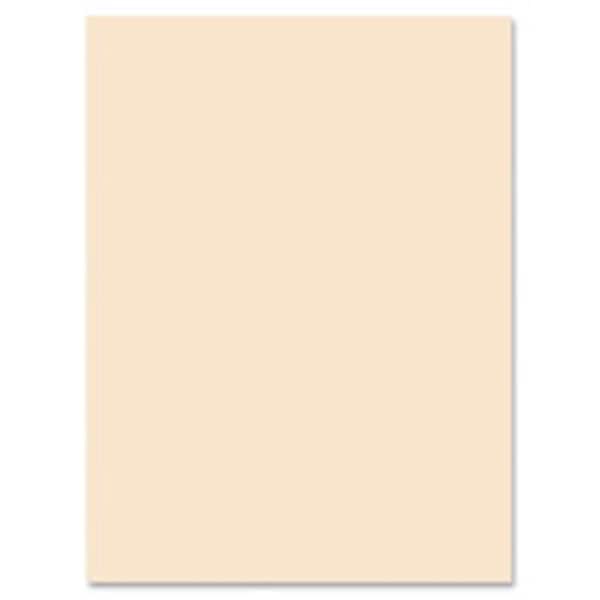 Pacon Corporation Pacon PAC5181 Tagboard, 9 in. x 12 in., 100Shts, 12 ...