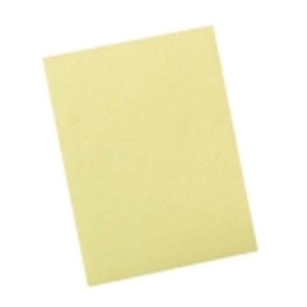 Pacon Corporation Pacon Heavy Weight Drawing Paper; 12 x 18 In.; Pack ...