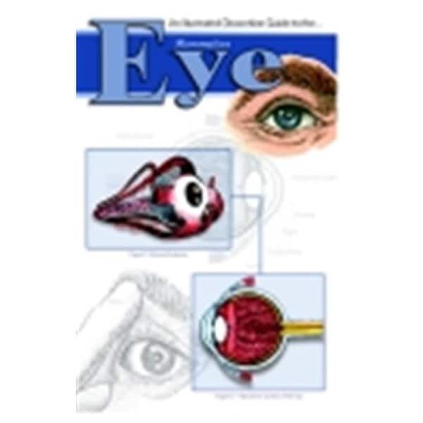 Frey Scientific Frey Scientific Mini-Guide To Mammalian Eye Dissection ...