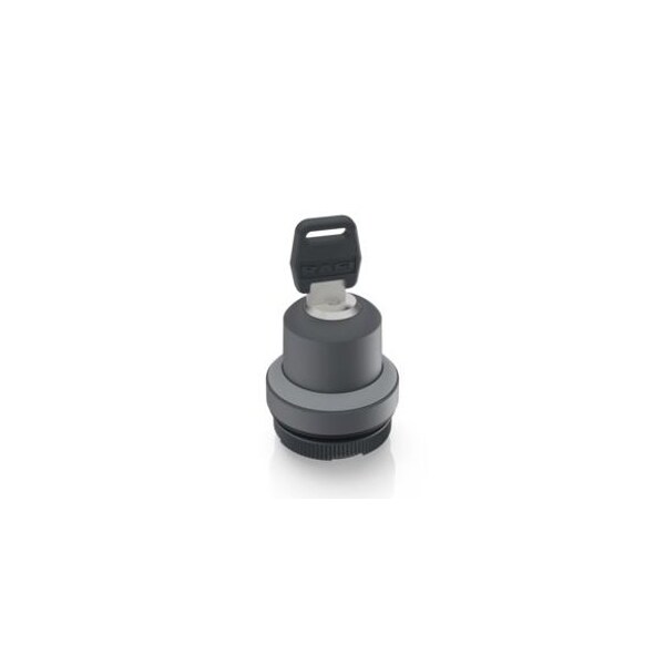 Rafi Switch Actuators Rafix 22 Fs Plus Keylock Switch 90 1.30.255.221 ...