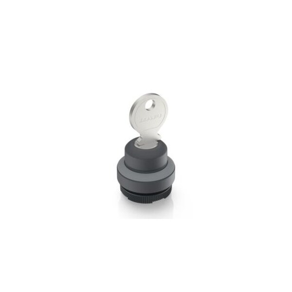 Rafi Rafix 22 Fs+ Keylock Switch 1.30.275.221/0800 | Zoro