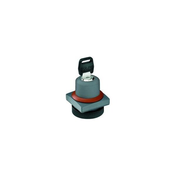 Rafi Switch Actuators Rafix 22 Fs+ Keylock Switch 2X90 1.30.255.451 ...