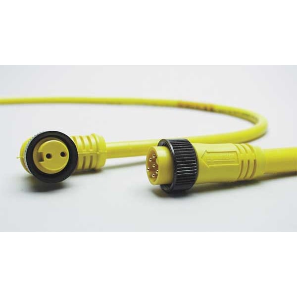 Brad Harrison Cordset, 2 Pin, Plug, Male 102002A01F060 | Zoro